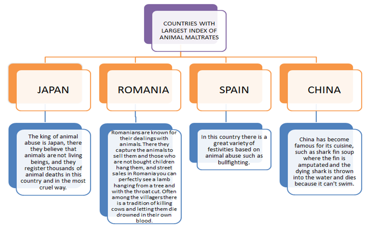 ANIMAL VIOLENCE – English first intro